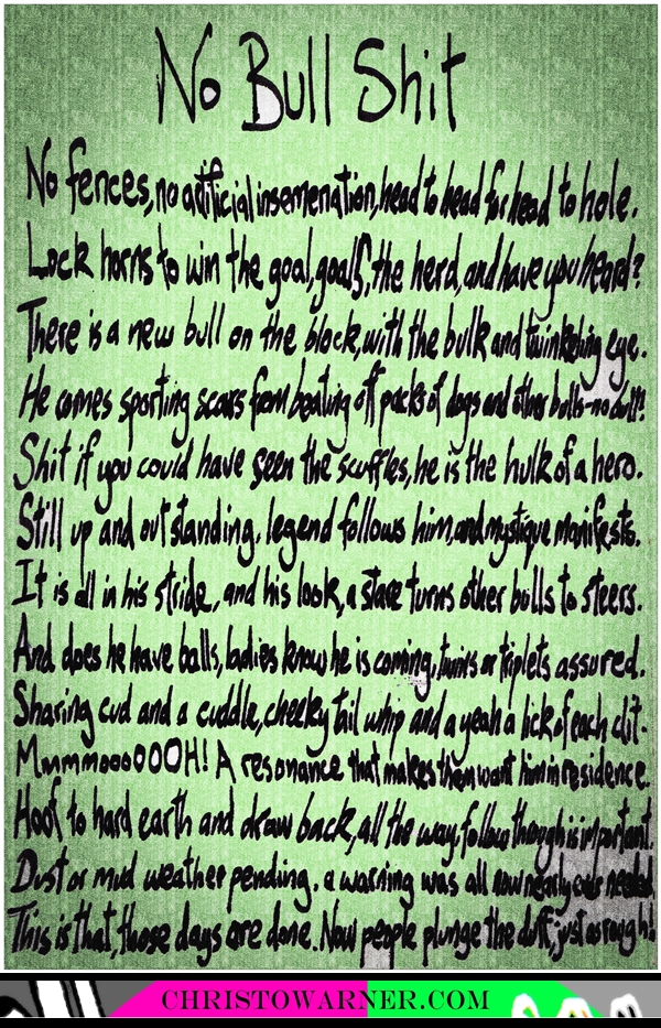 No Bull Shit - Christo Warner